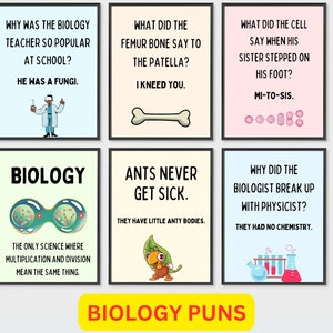 30 Science Classroom Posters Bundle, Educational Posters, Science ...