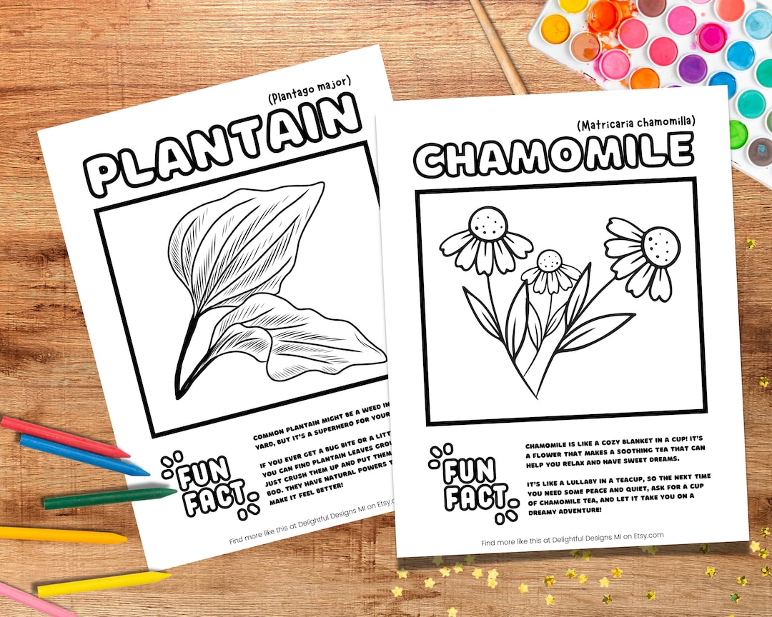 Herbal Coloring Pages for Kids: Homeschool Science (digital Download ...
