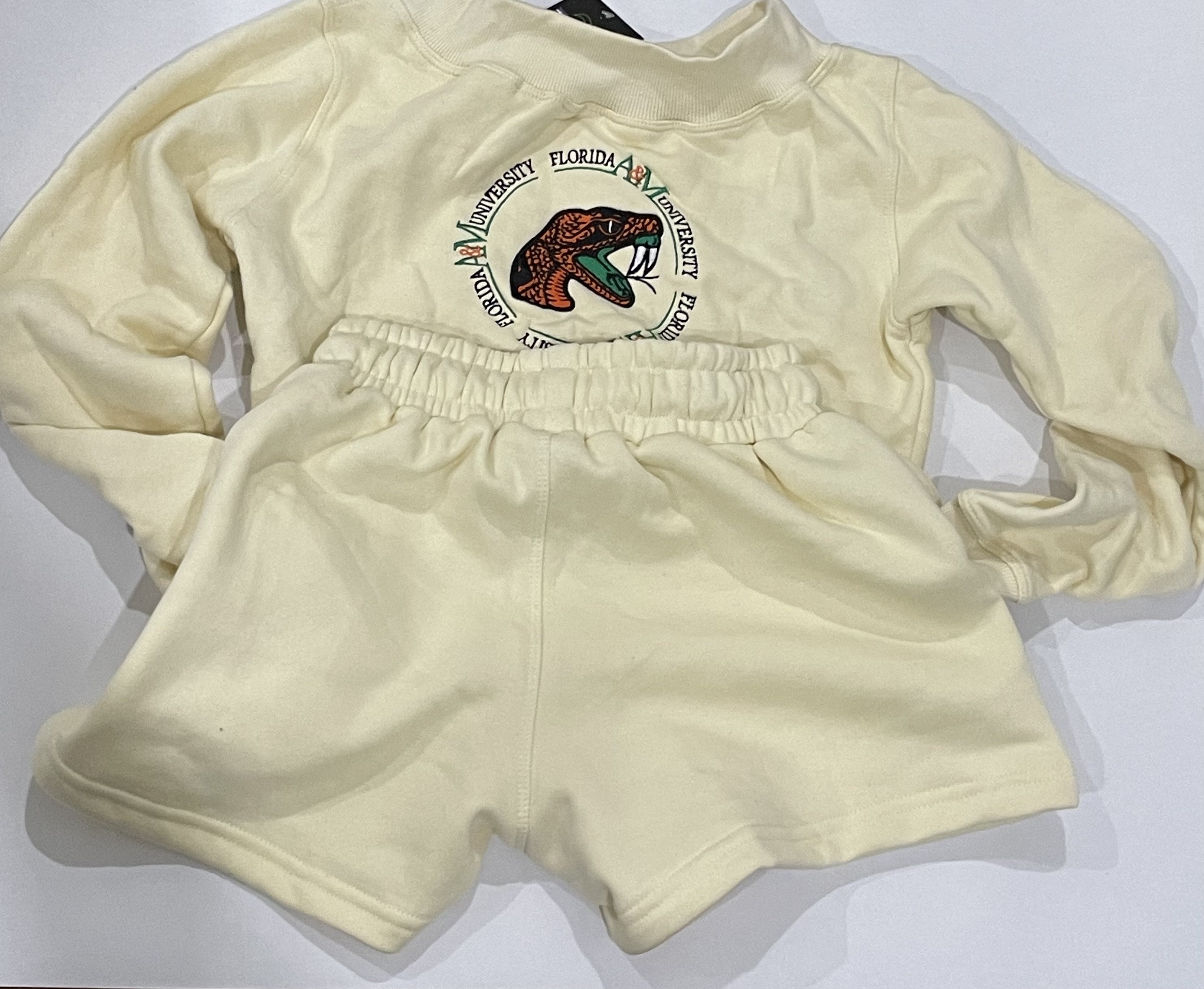 Florida A&M University 2 Piece Jogger Crop Top Short Set FAMU Athletes ...