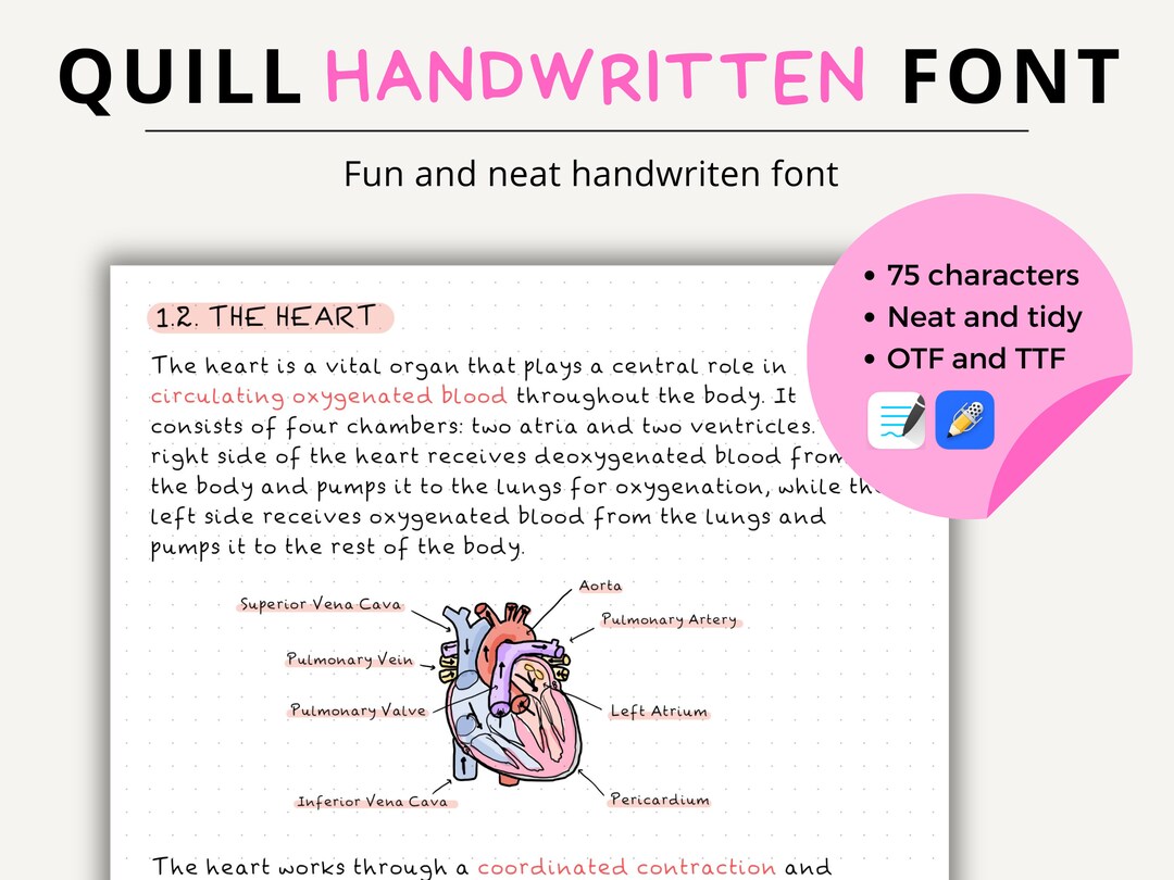 Tidy Handwriting Font Digital Handwritten Font for Digital Notes ...