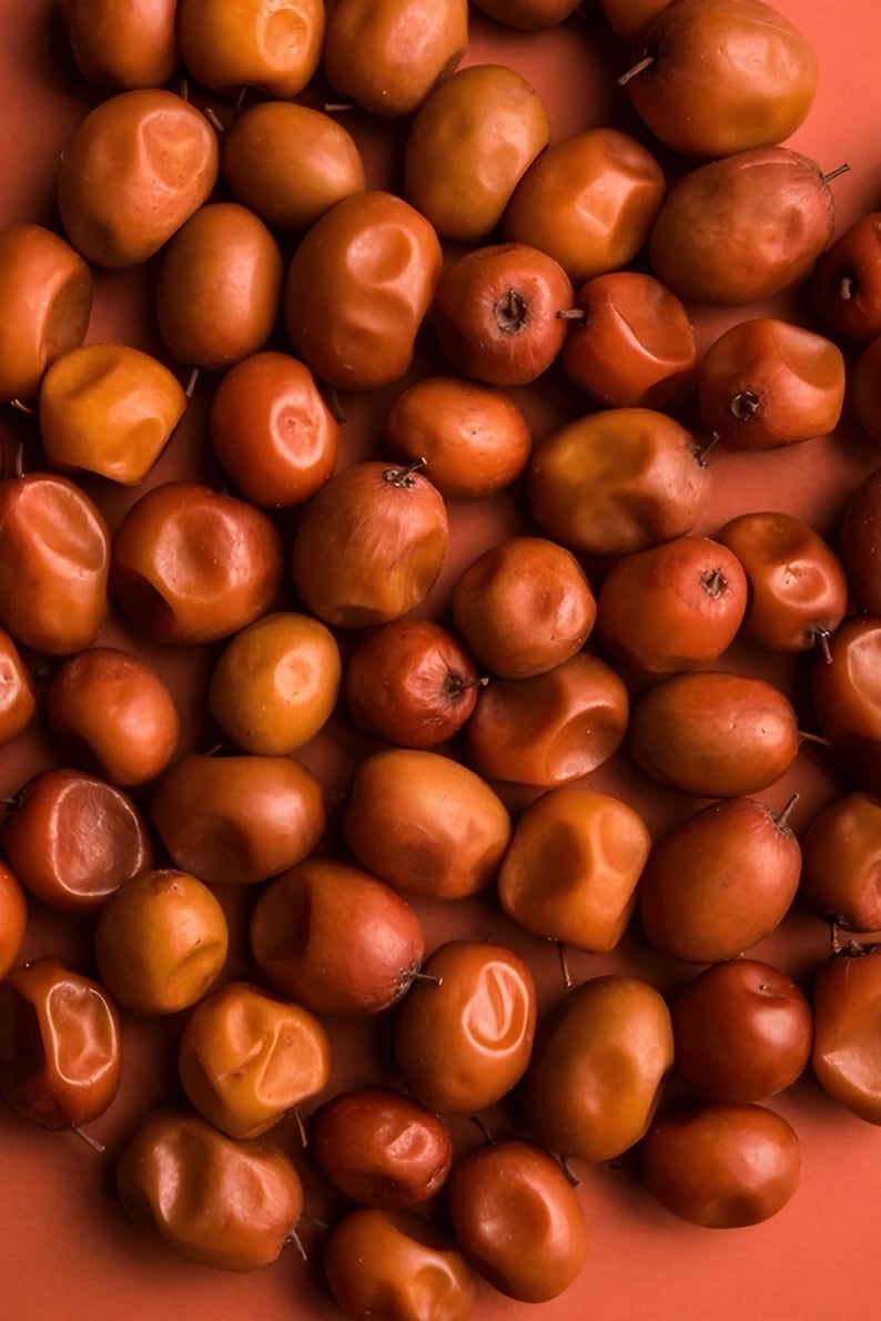 Jujube Berries | Unnab Ber | Unnab Welayti | Ziziphus Sativa Gaertn - Etsy