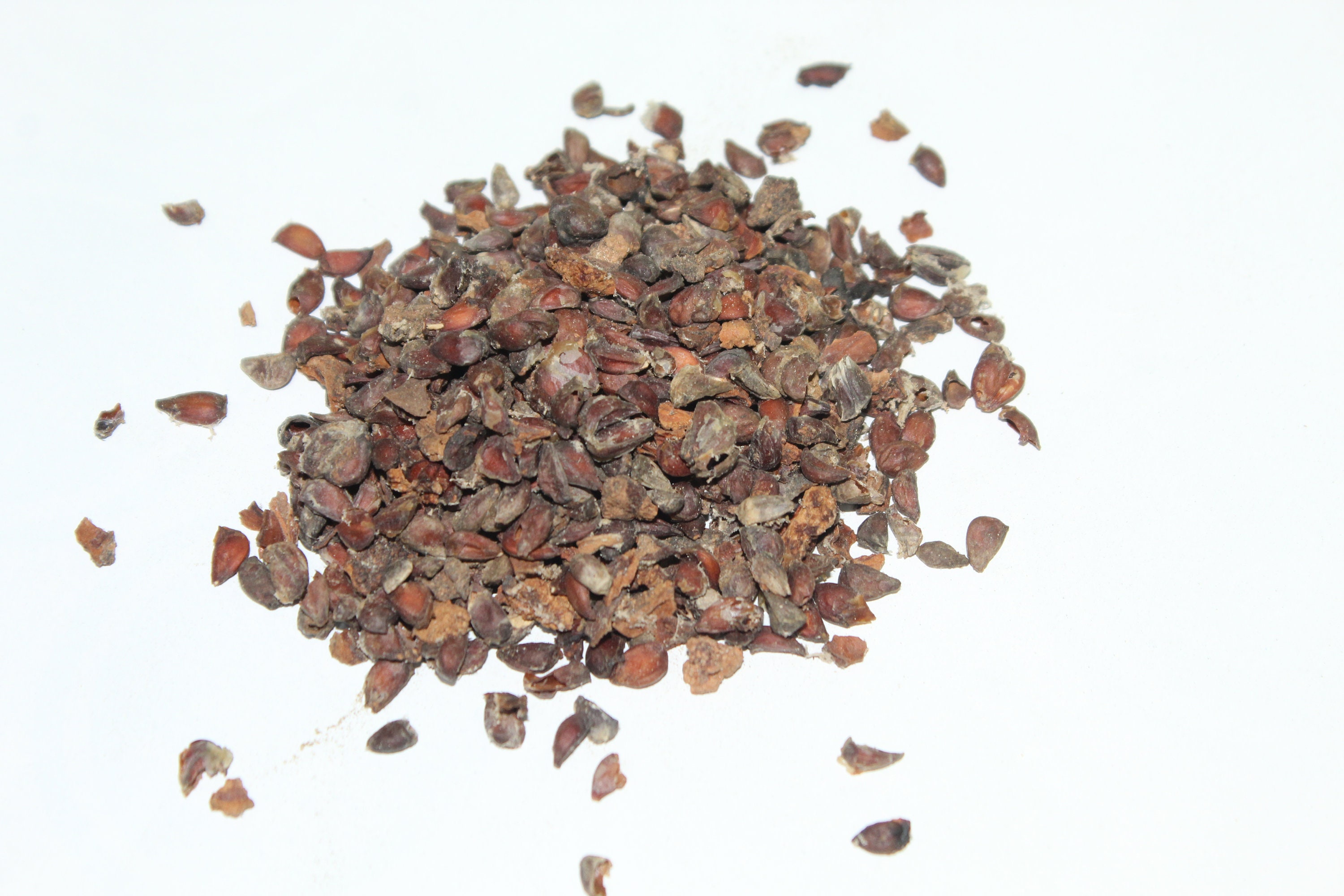 Quins Seed Quince Bihidana Bedana Exploring the Richness of Quins Seed ...