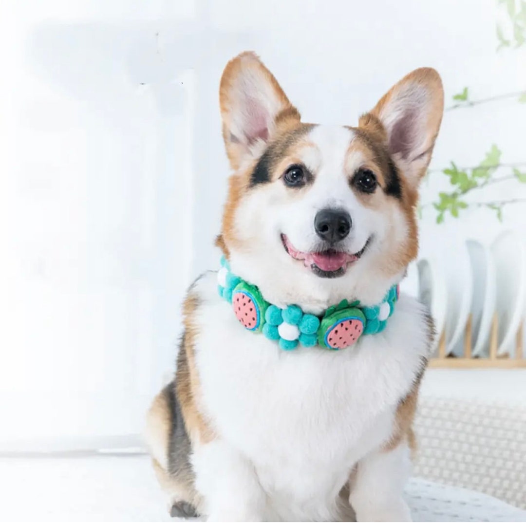 Flower Medium Size Cotton Decorative Collars:dog Party Neck Gothic Cute ...