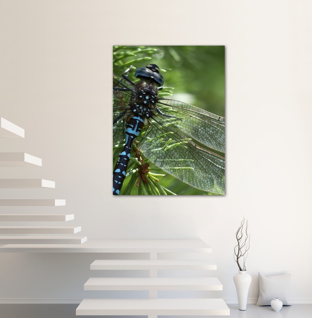 Dragonfly Wall Art, Dragonflies Artwork on Canvas, Large Artwork for ...