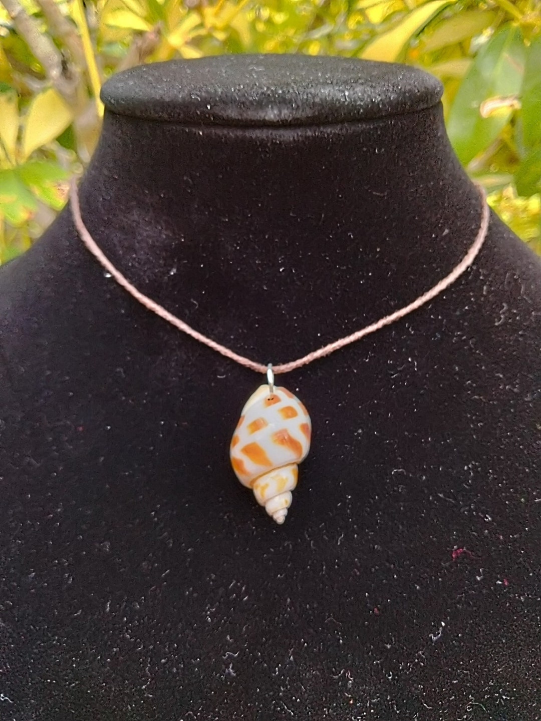 Small Natural Shell Necklace | Conch Shell Necklace, Conch Shell Choker ...