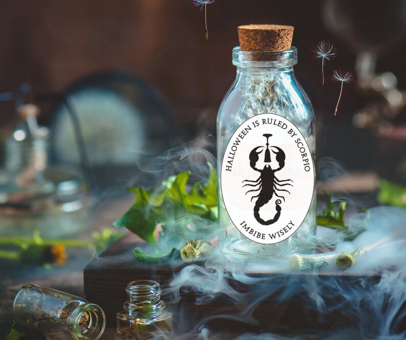 80 Mini Apothecary Potion Labels, Wizard Potion Labels Printables ...