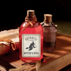 80 Mini Apothecary Potion Labels, Wizard Potion Labels Printables ...