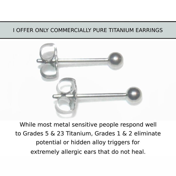 Titanium Earrings - Etsy