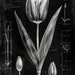 Screensavers for Remarkable, Rm2, Onyx Boox - 18 Images Bundle - Custom ...