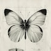 Screensavers for Remarkable, Rm2, Onyx Boox - 18 Images Bundle - Custom ...