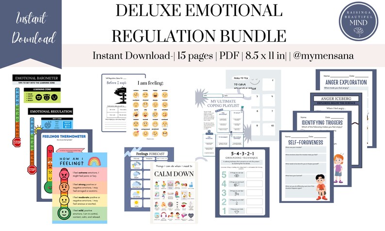Deluxe Emotional Regulation Bundle, Feelings Thermometers, Posters ...