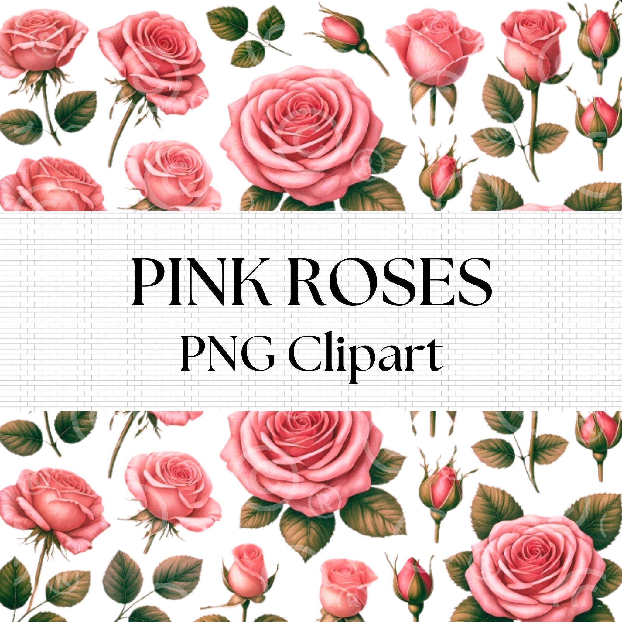 Roses PNG, Pink Roses ClipArt, Rose Flower crafts, Wedding Roses ...