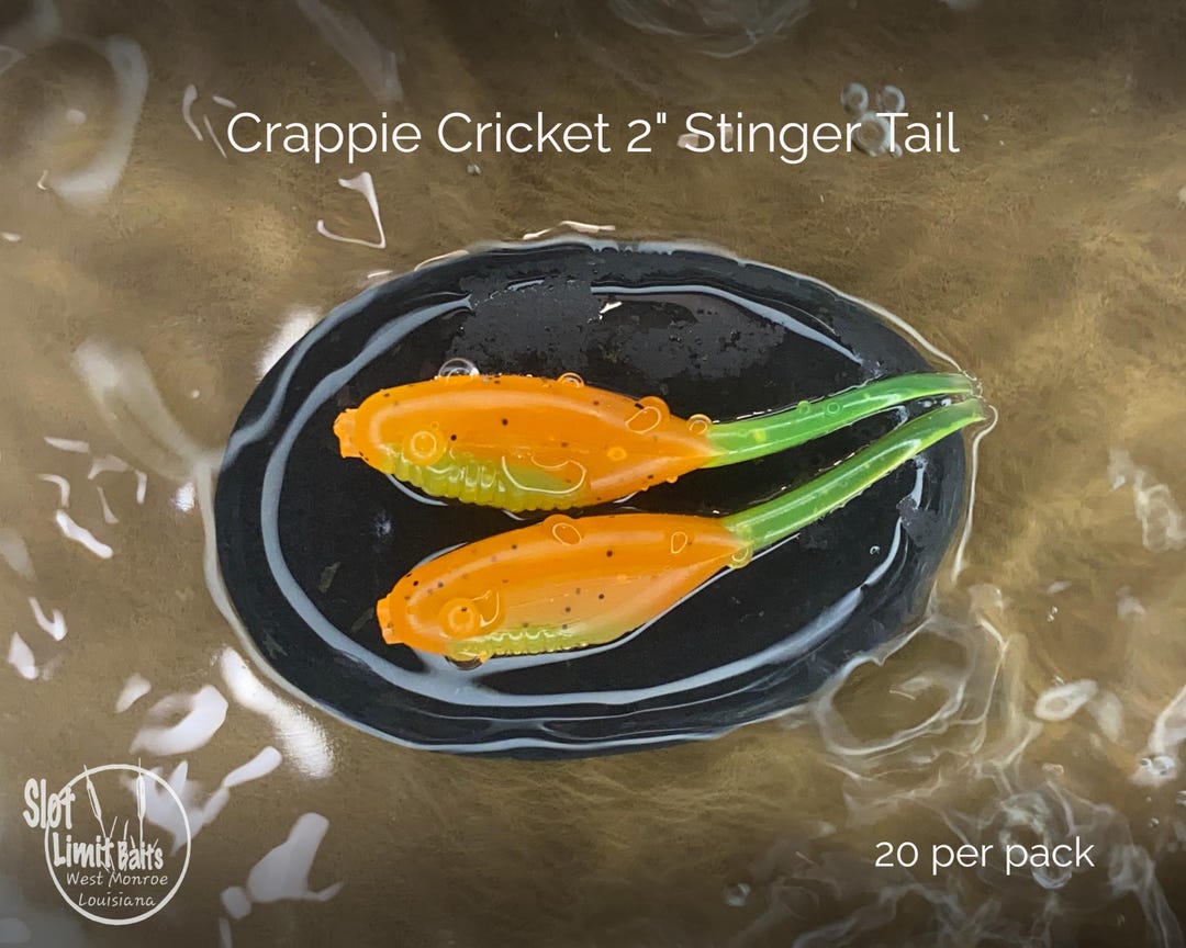 Crappie Cricket Soft Plastic Crappie Baits - Etsy
