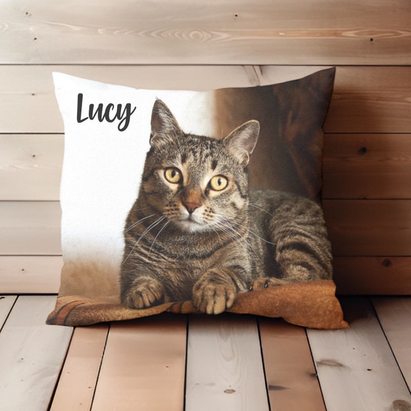 Cat Pillow - Etsy