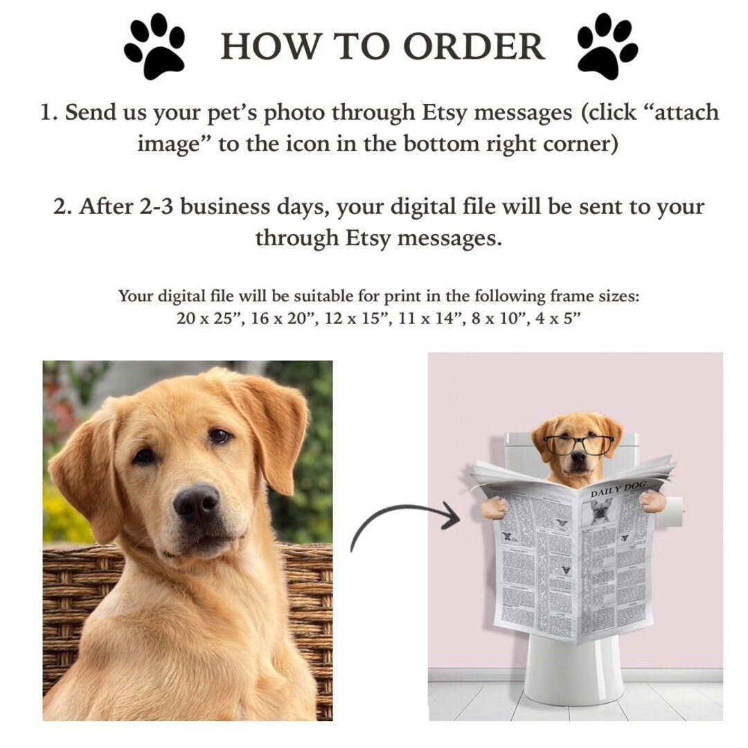 Additional Pets (up to 2) and Revisions Digital Add-on - Etsy