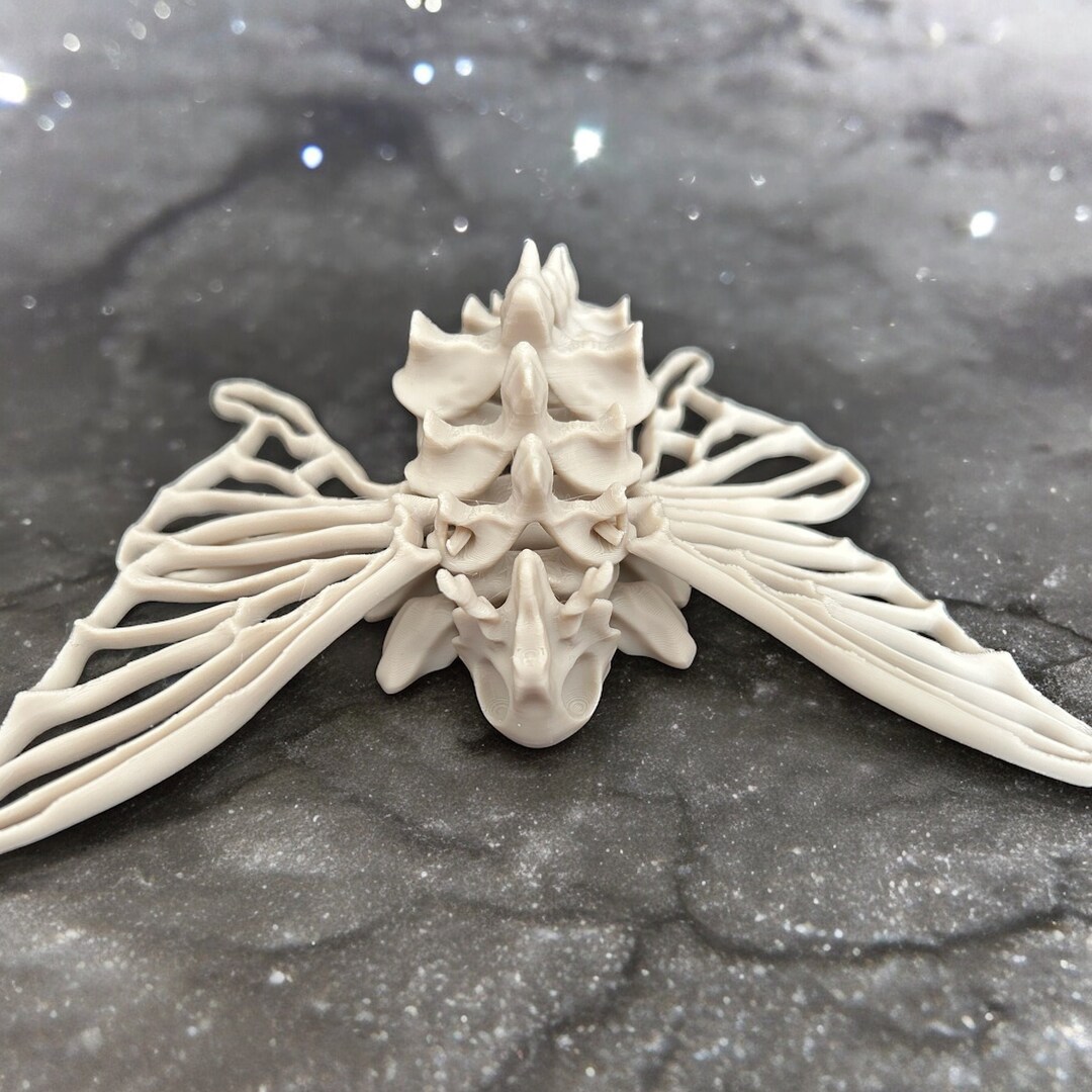 Bone Moth Moth Articulated Fidget Toy 3D Printed Desk Ornament - Etsy