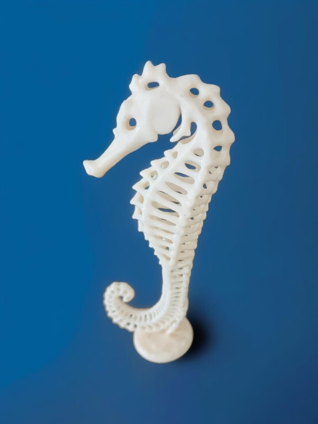 3D Printed Seahorse Exoskeleton Sculpture | Nautical Marine Decor ...