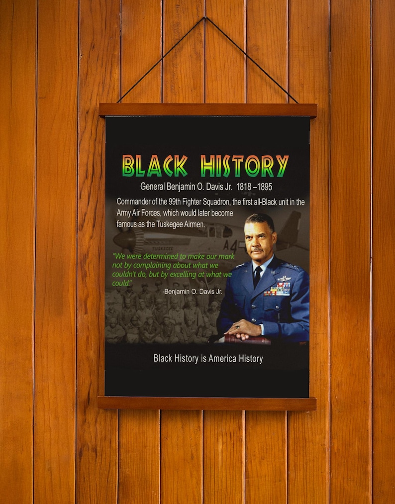 Lt. Gen. Benjamin O. Davis Jr. Black History Month Poster, 99th Fighter ...