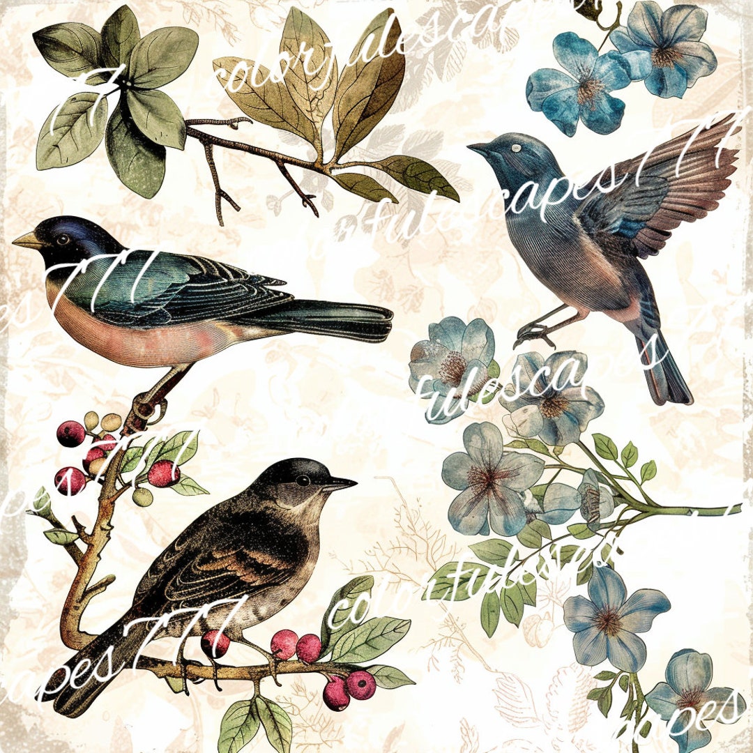 Vintage Bird Junk Journal Pages, Digital Floral Scrapbook Paper Kit ...
