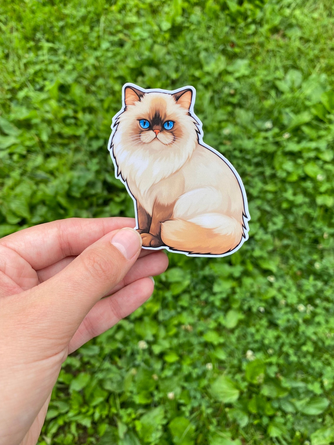 Himalayan Cat Sticker for Women, Cute Cat Gifts for Cat Lovers ...