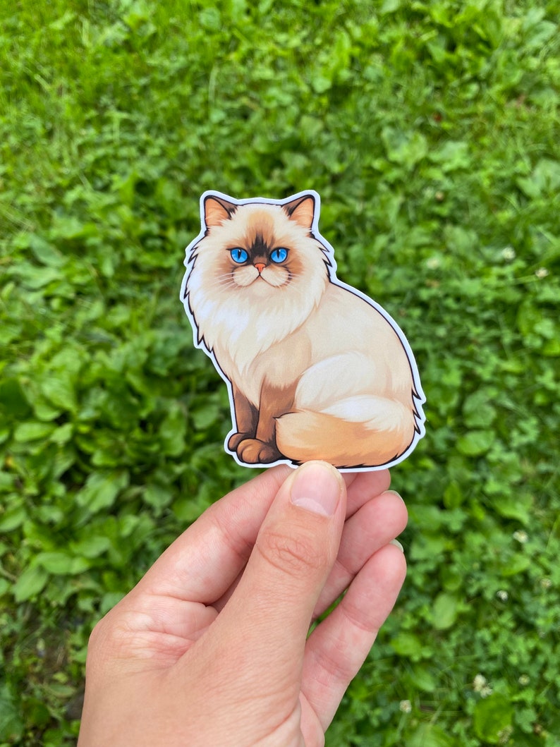 Himalayan Cat Sticker for Women, Cute Cat Gifts for Cat Lovers ...