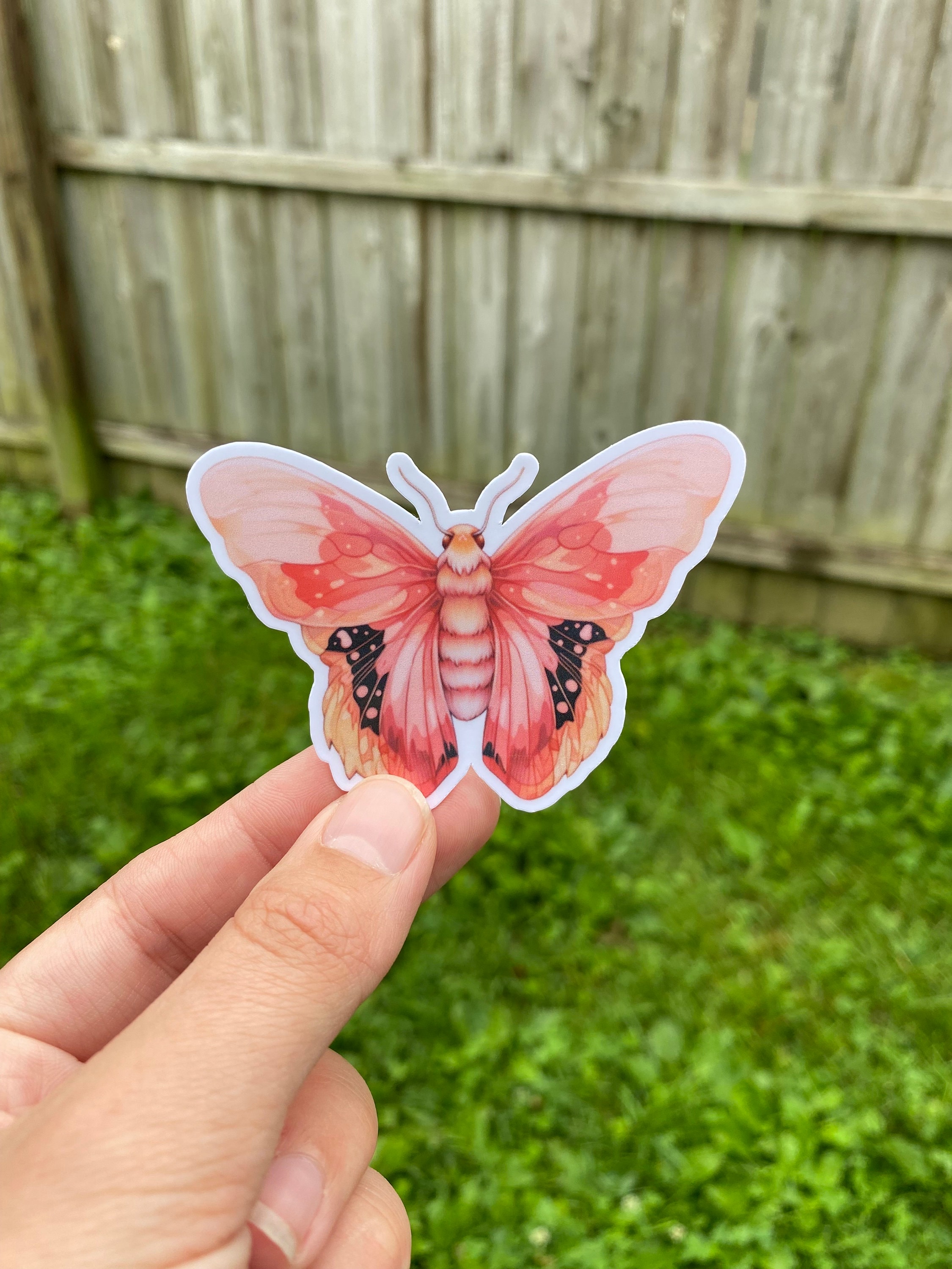 Rosy Maple Moth Sticker for Women, Pink Nature Stickers, Cute Moth ...