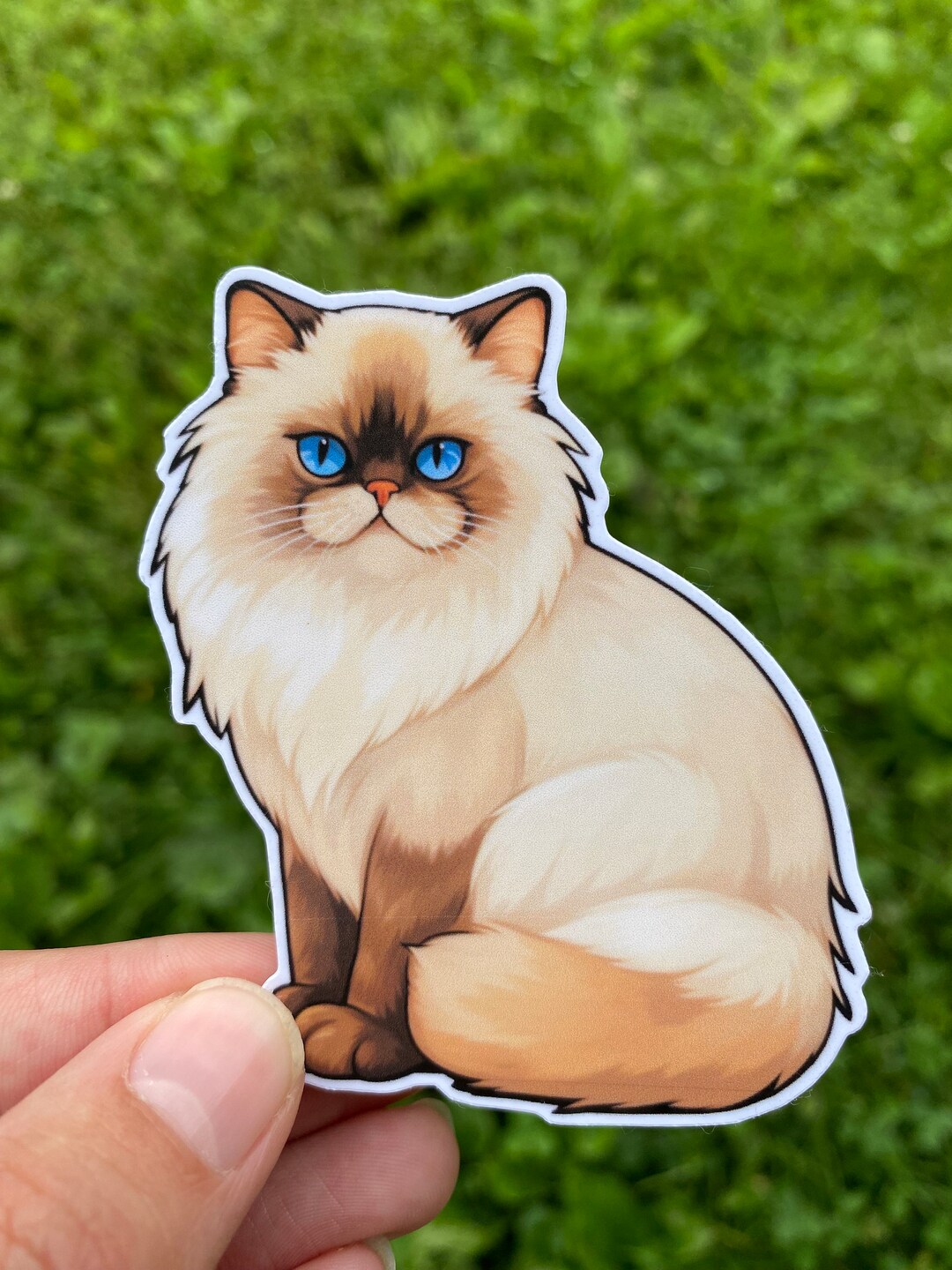 Himalayan Cat Sticker for Women, Cute Cat Gifts for Cat Lovers ...