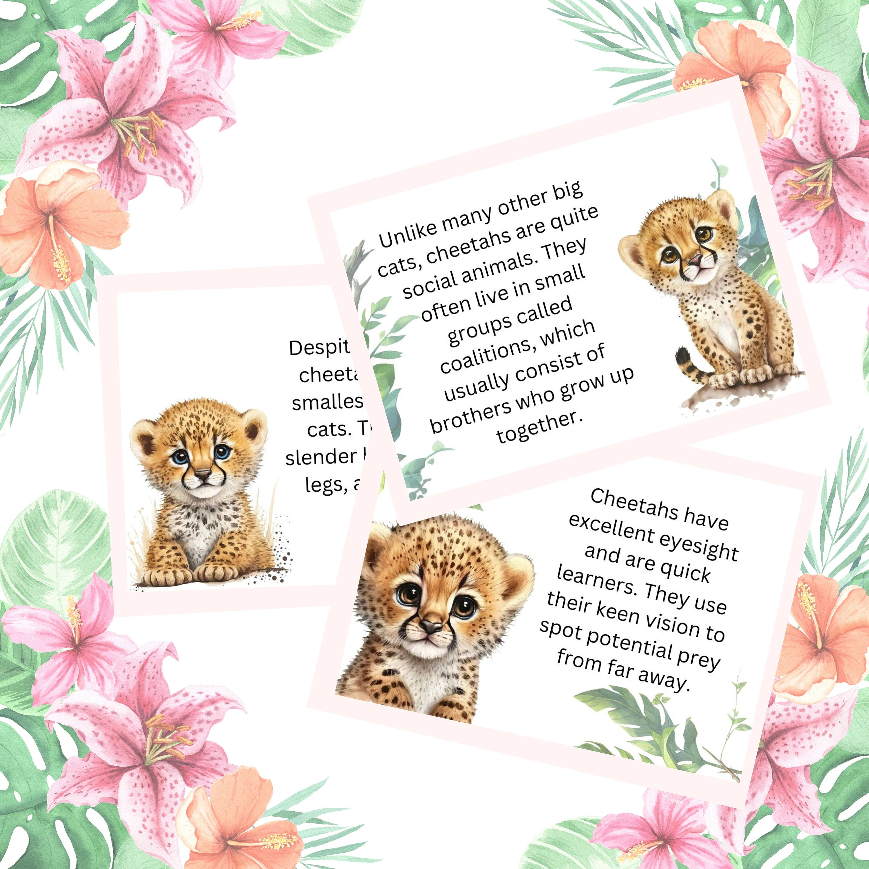 Safari Animal Fun Facts - Cheetah Printable Fun Facts Lunch Box Notes ...