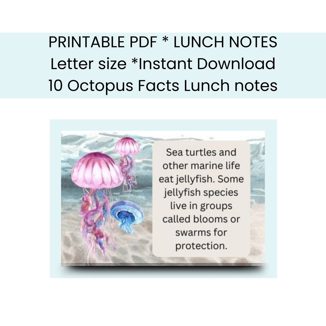 Sea-life Fun Facts - Jellyfish Printable Sea-life Fun Facts Lunch Box ...