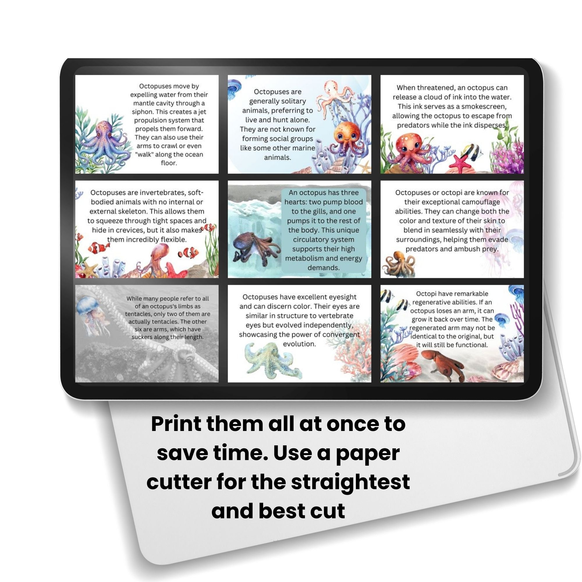 Sea-life Fun Facts - Octopus Printable Sea-life Fun Facts Lunch Box ...