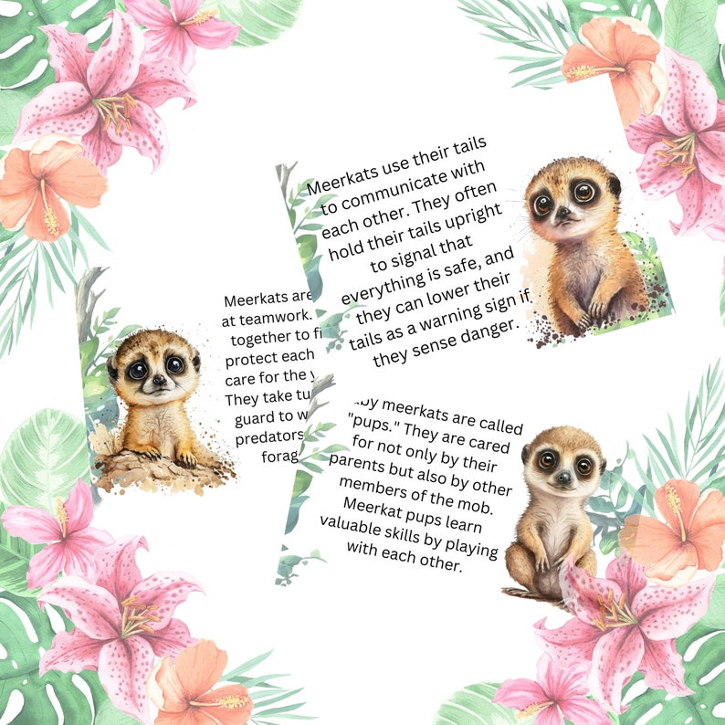 Printable Lunch Box Notes: MEERKAT Safari Animal Fun Facts Lunch Box ...