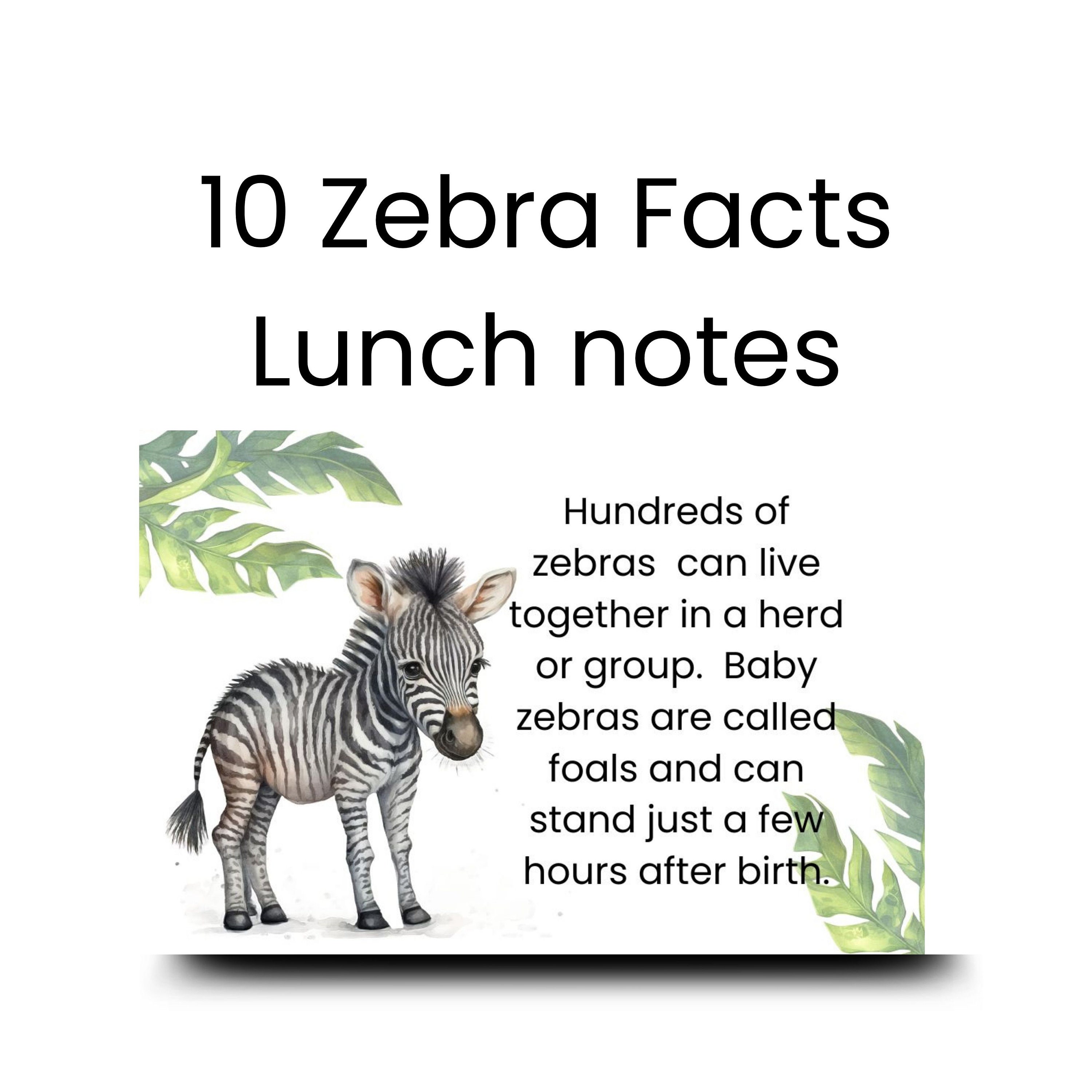 Safari Animal Fun Facts - Zebra Printable Fun Facts Lunch Box Notes ...