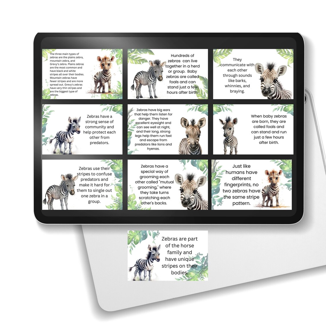 Safari Animal Fun Facts - Zebra Printable Fun Facts Lunch Box Notes ...