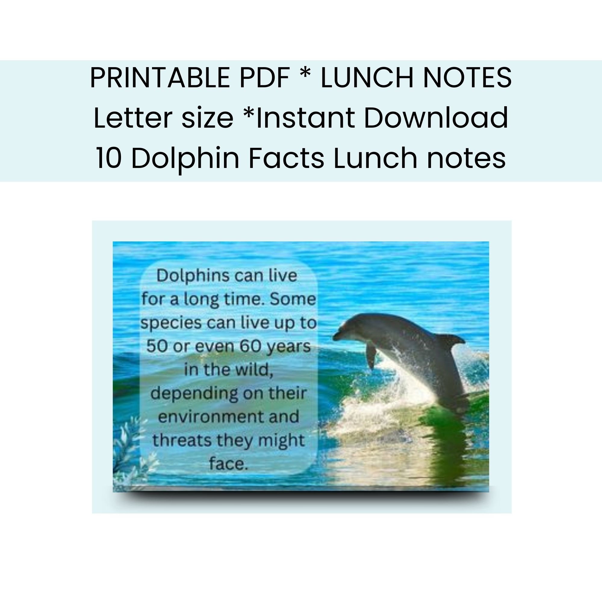 Printable Lunch Box Notes, Sea-life Animal Fun Facts, Lunch Box Notes ...