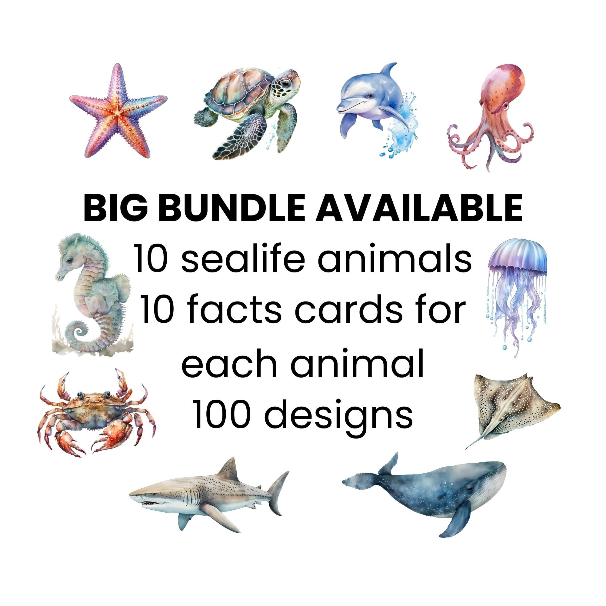Sea-life Fun Facts - Octopus Printable Sea-life Fun Facts Lunch Box ...