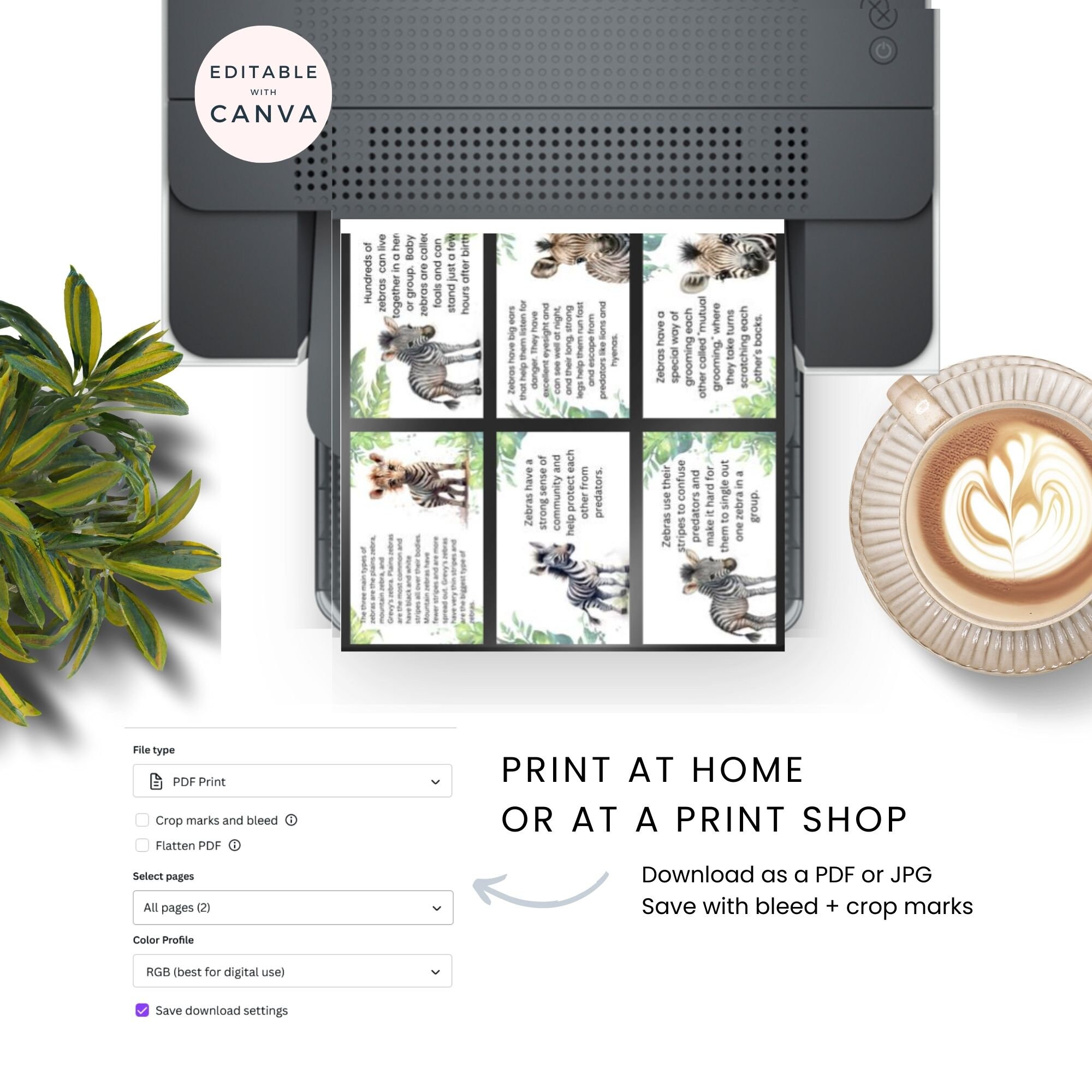 Safari Animal Fun Facts - Zebra Printable Fun Facts Lunch Box Notes ...