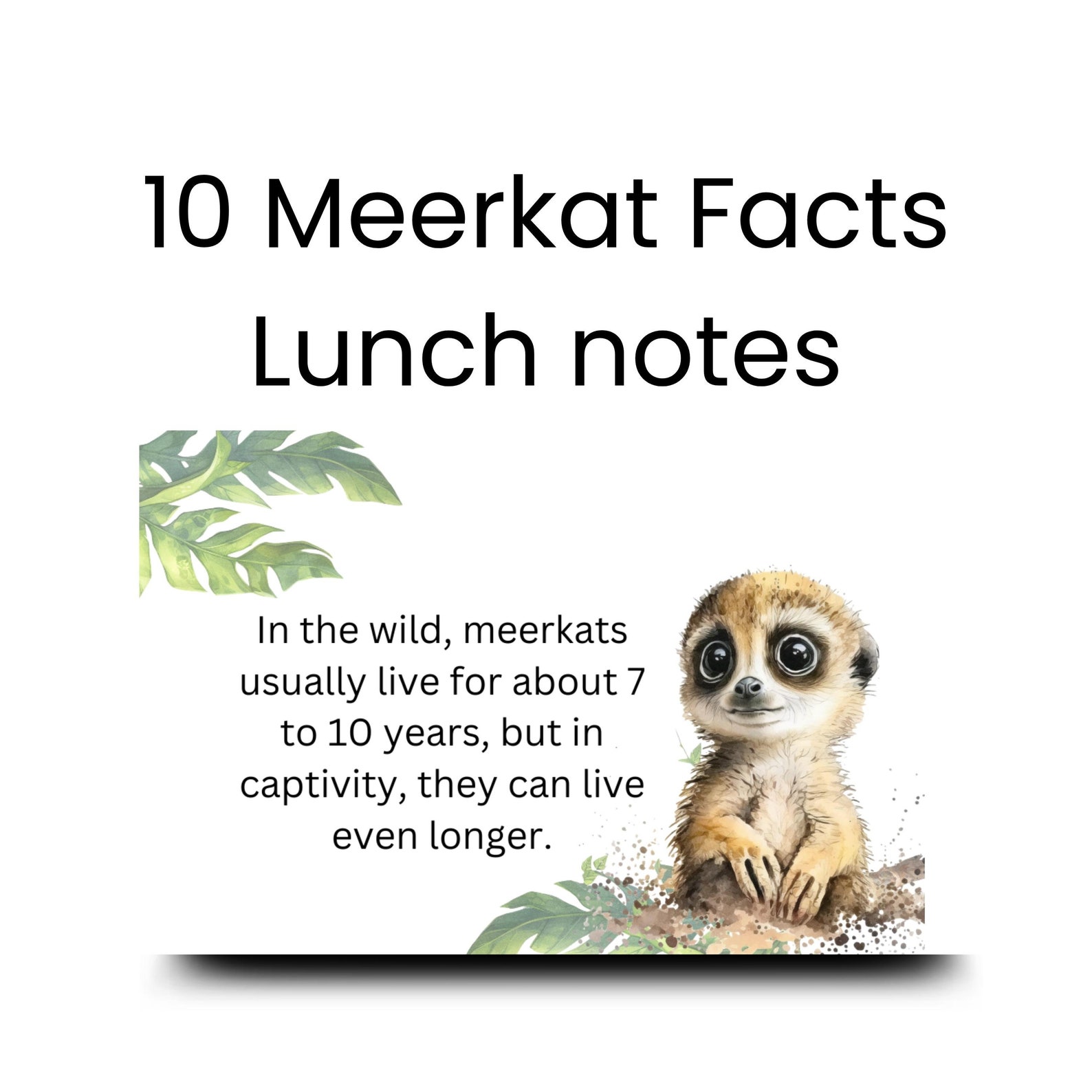 Printable Lunch Box Notes: MEERKAT Safari Animal Fun Facts Lunch Box ...