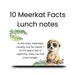 Printable Lunch Box Notes: MEERKAT Safari Animal Fun Facts Lunch Box ...