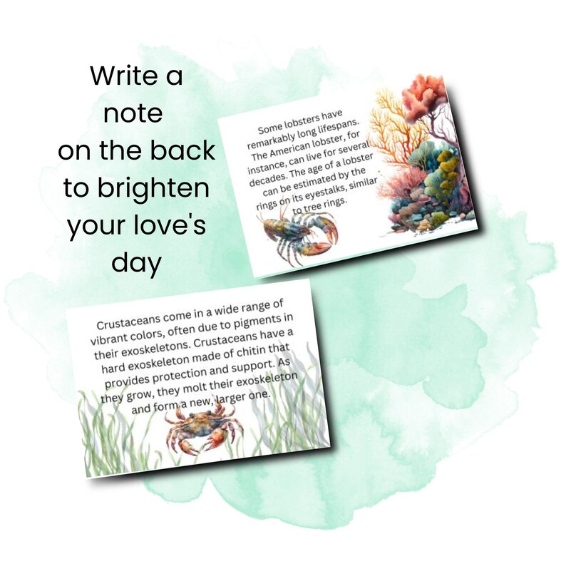 Sea-life Fun Facts - Crustaceans Printable Sea-life Fun Facts Lunch Box ...