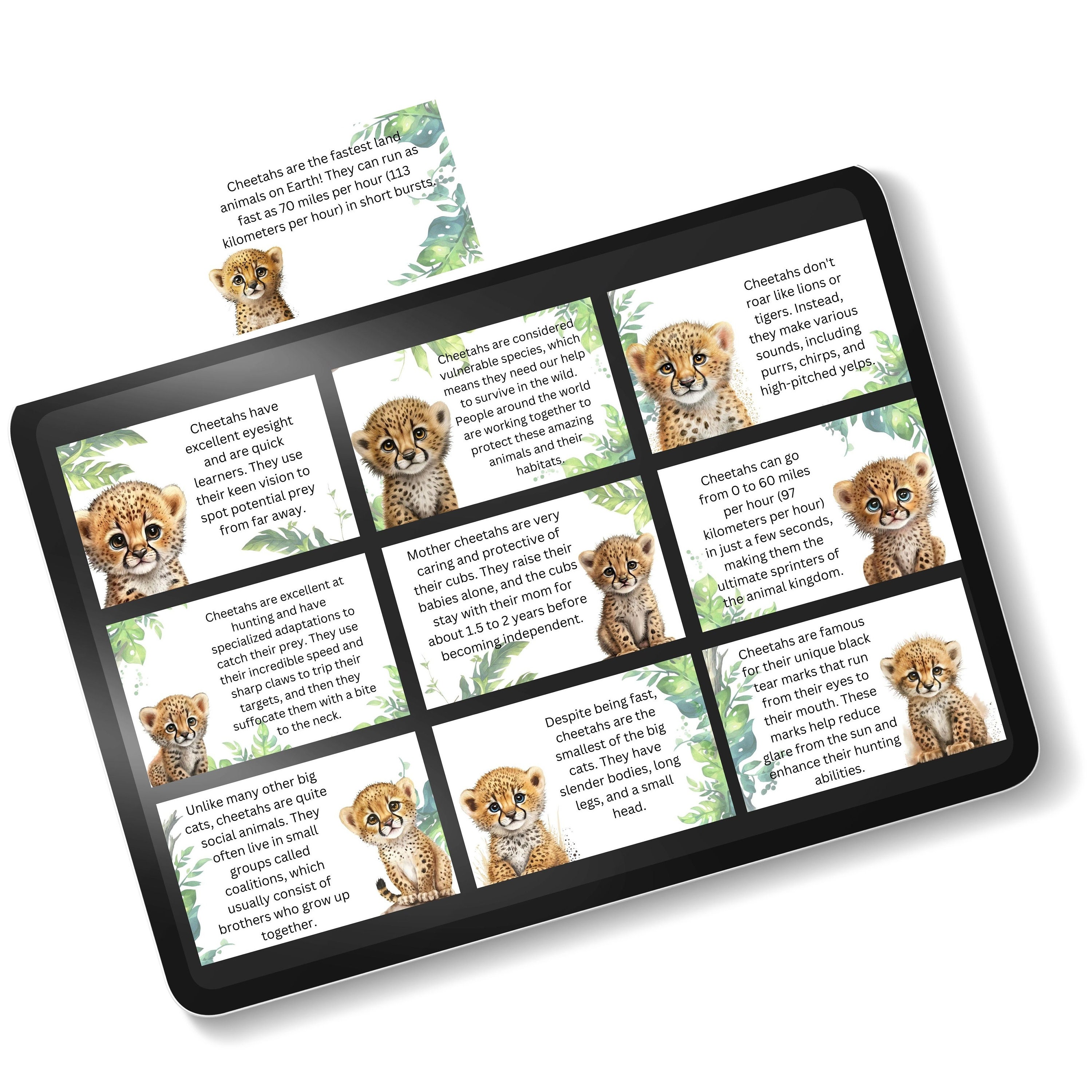 Safari Animal Fun Facts - Cheetah Printable Fun Facts Lunch Box Notes ...