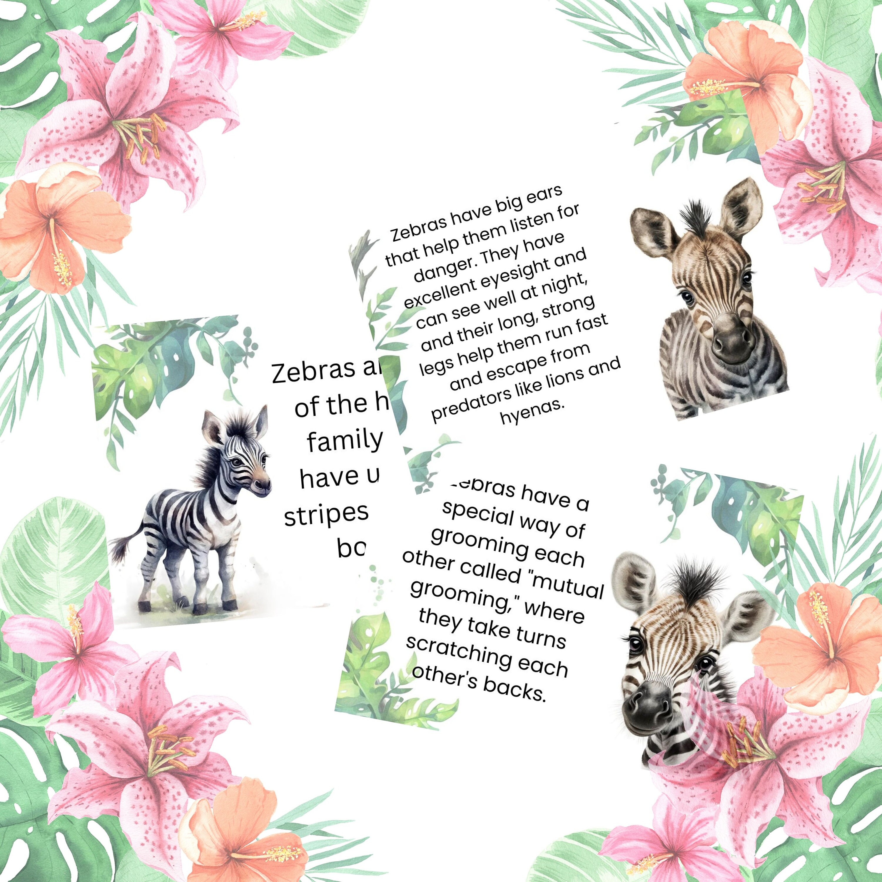Safari Animal Fun Facts - Zebra Printable Fun Facts Lunch Box Notes ...