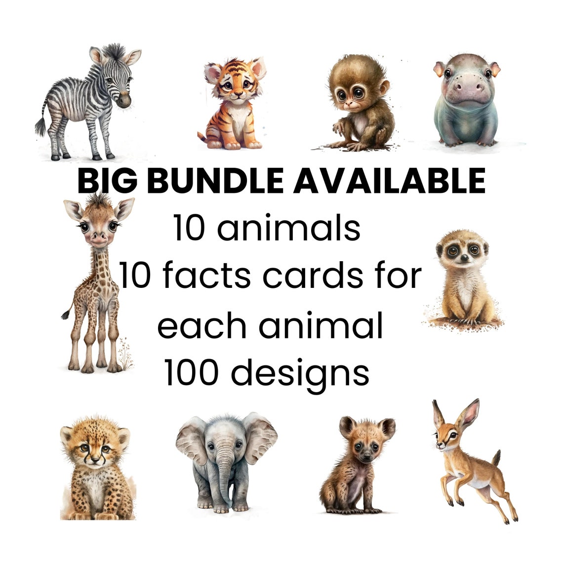 Printable Lunch Box Notes: MEERKAT Safari Animal Fun Facts Lunch Box ...