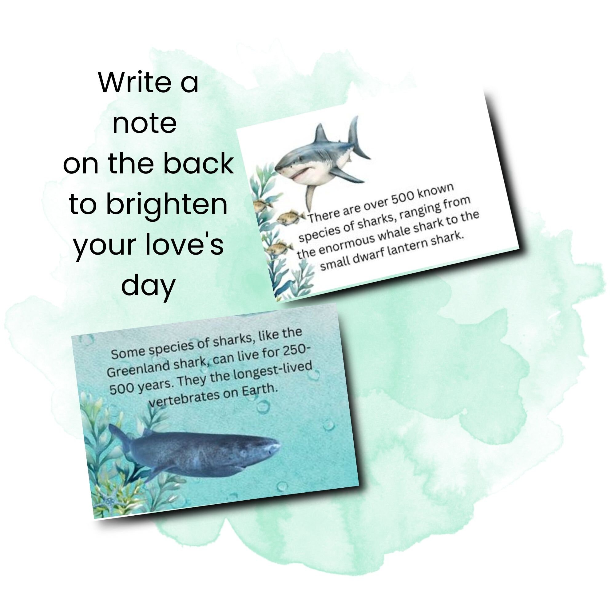 Printable Lunch Box Notes, Sea-life Animal Fun Facts, Lunch Box Notes ...