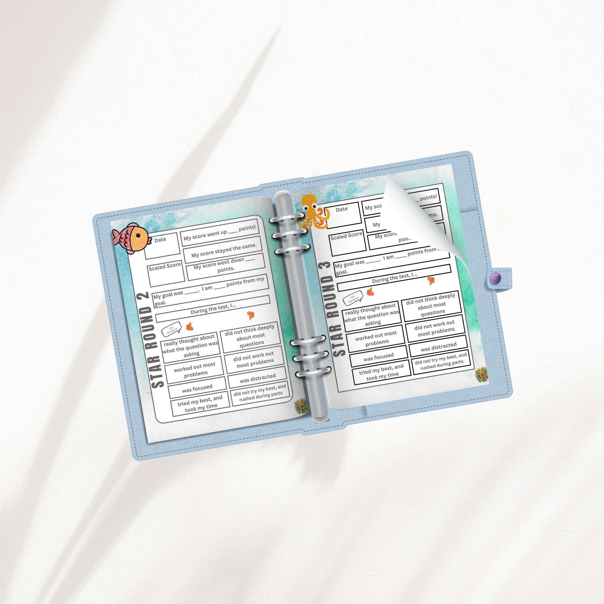 STAR Reading and Math Data Chat, Student Accountability, High Stakes ...