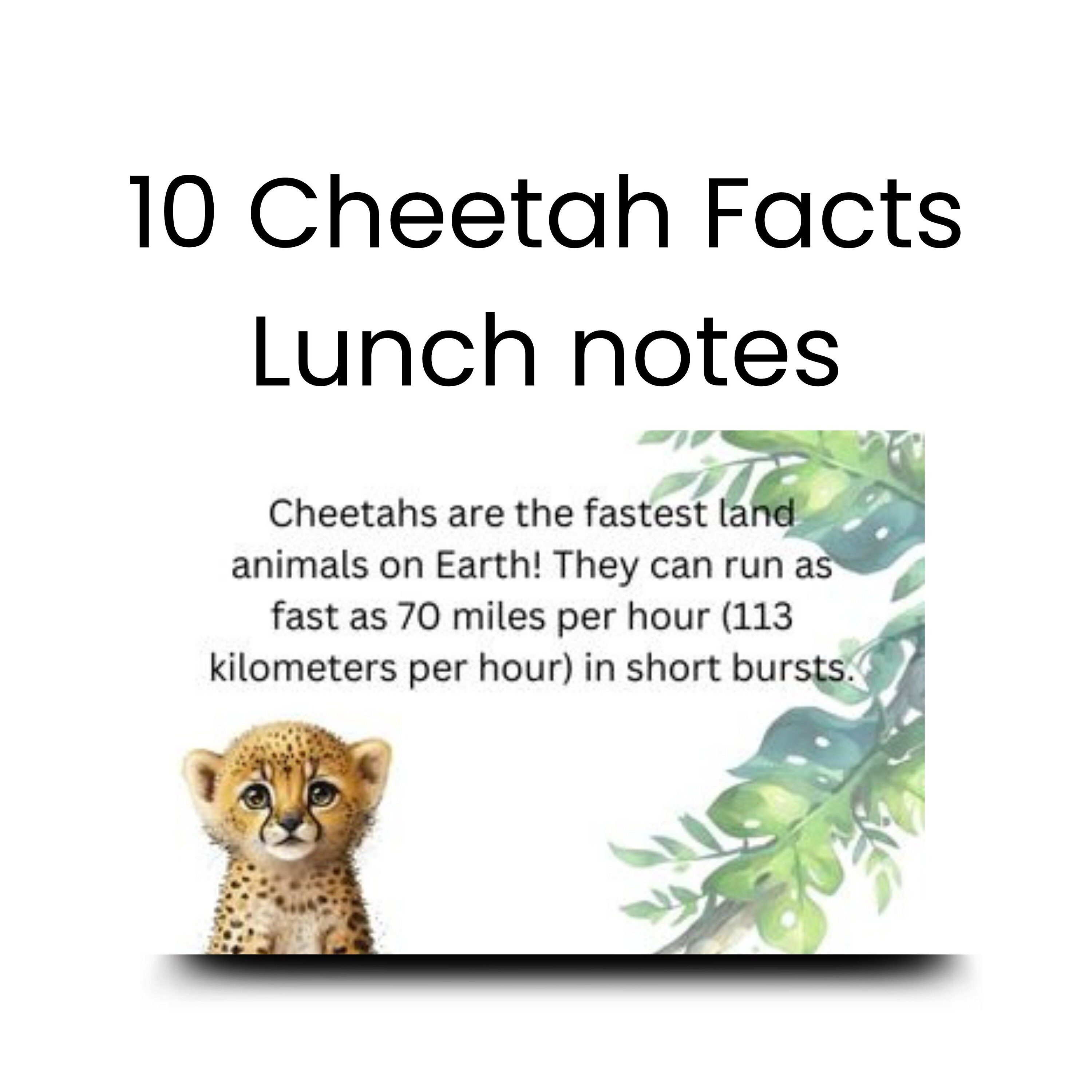 Safari Animal Fun Facts - Cheetah Printable Fun Facts Lunch Box Notes ...