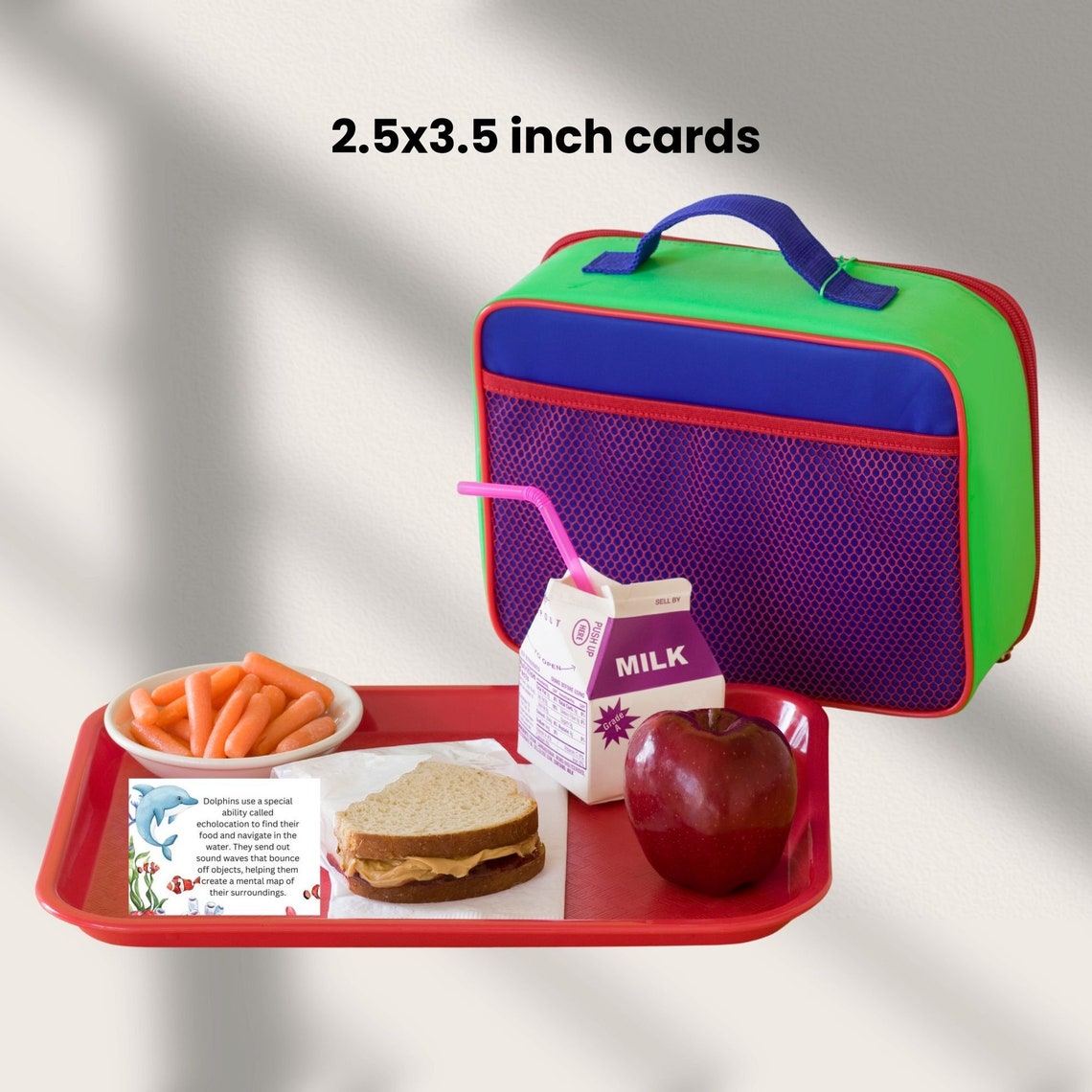 Printable Ocean Animal Lunch Box Notes Fun Facts Science Learning ...