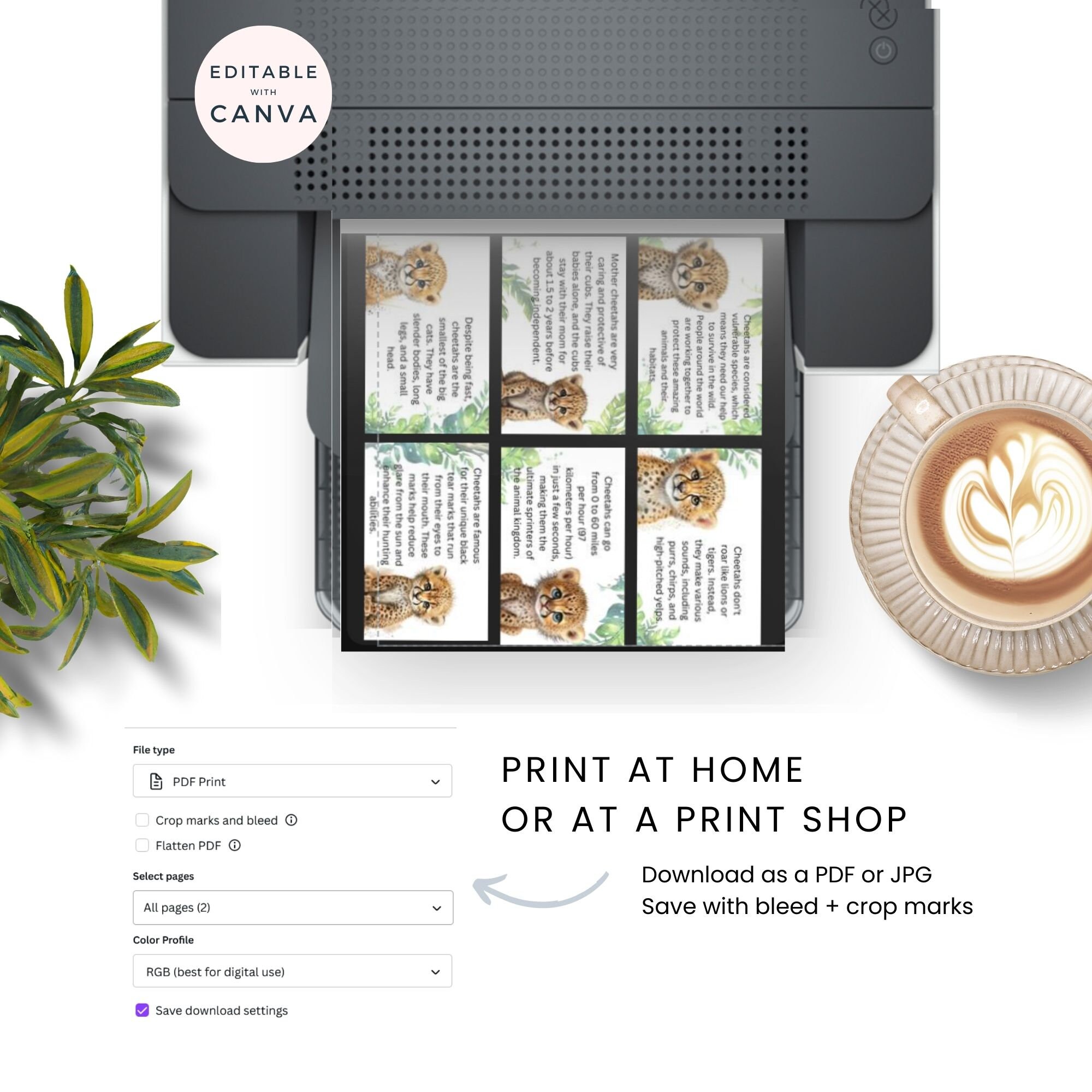 Safari Animal Fun Facts - Cheetah Printable Fun Facts Lunch Box Notes ...