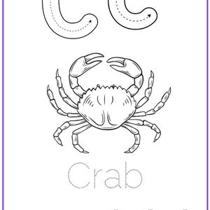 Under the Sea Alphabet Coloring & Tracing Book - Etsy