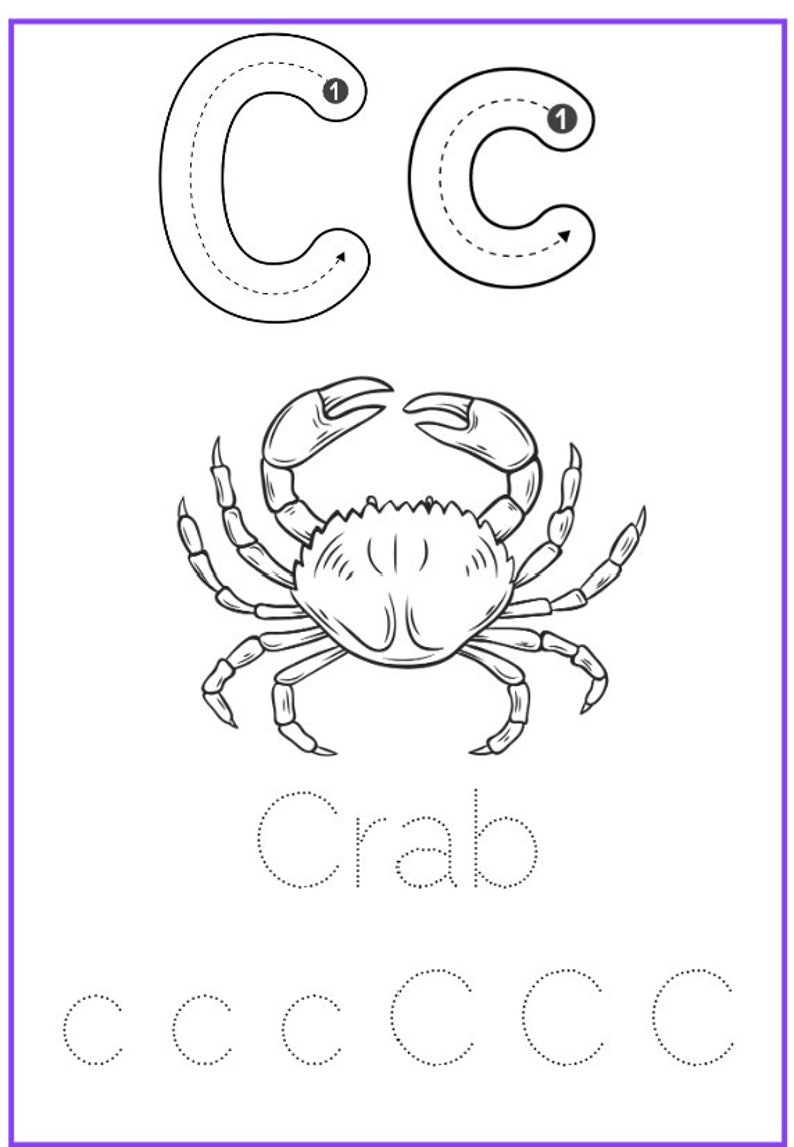 Under the Sea Alphabet Coloring & Tracing Book - Etsy