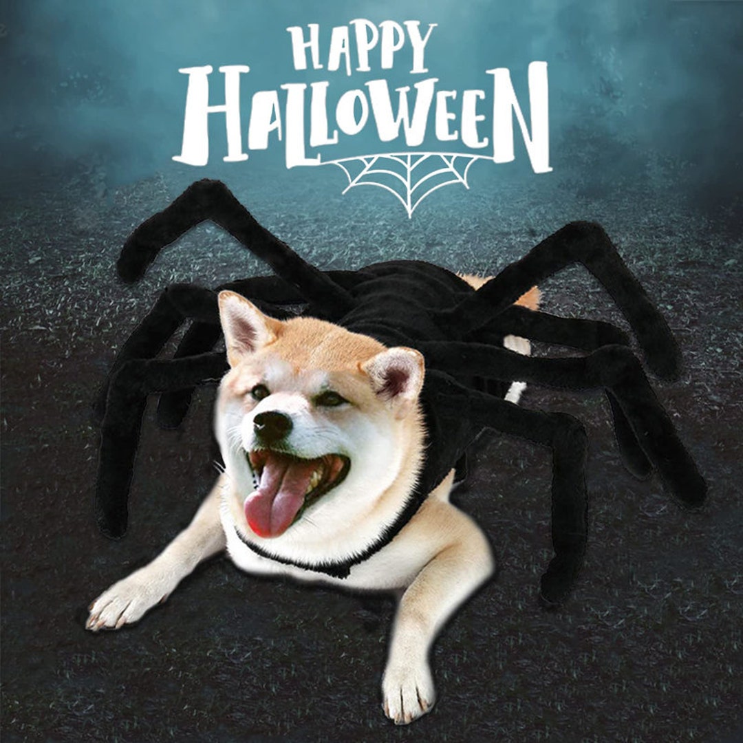 Halloween Pet Spider Costume Dog & Cat Halloween Costume - Etsy